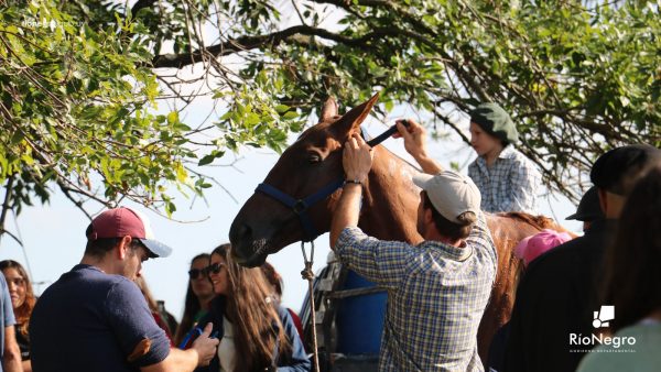 Se realizó la 20ª edición del Raid Federado “Batalla de Tres Árboles ...