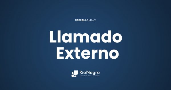 LLAMADO EXTERNO A INTERESADOS EN DESEMPEÑAR TAREAS DE CLASIFICACION ...